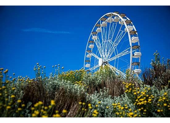 Leica M10-R Sample Images | Photography Blog