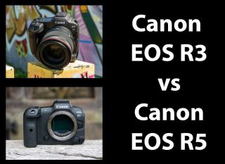 Canon R3 vs Canon R5 - Head-to-head Comparison | Photography Blog