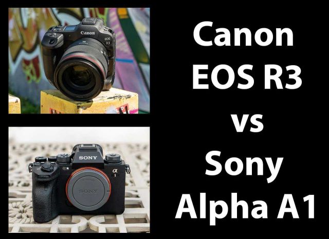 Canon R3 vs Sony A1 - Head-to-head Comparison | Photography Blog