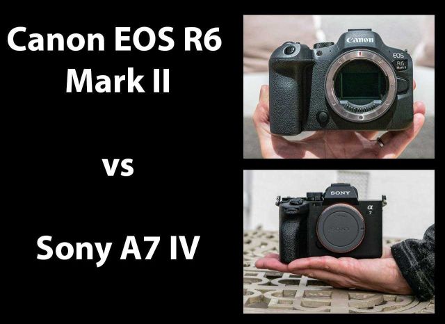Canon EOS R6 Mark II vs Sony A7 IV - Head-to-head Comparison | Photography Blog