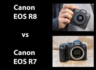 Canon EOS R8 vs EOS R7 - Head-to-head Comparison | Photography Blog