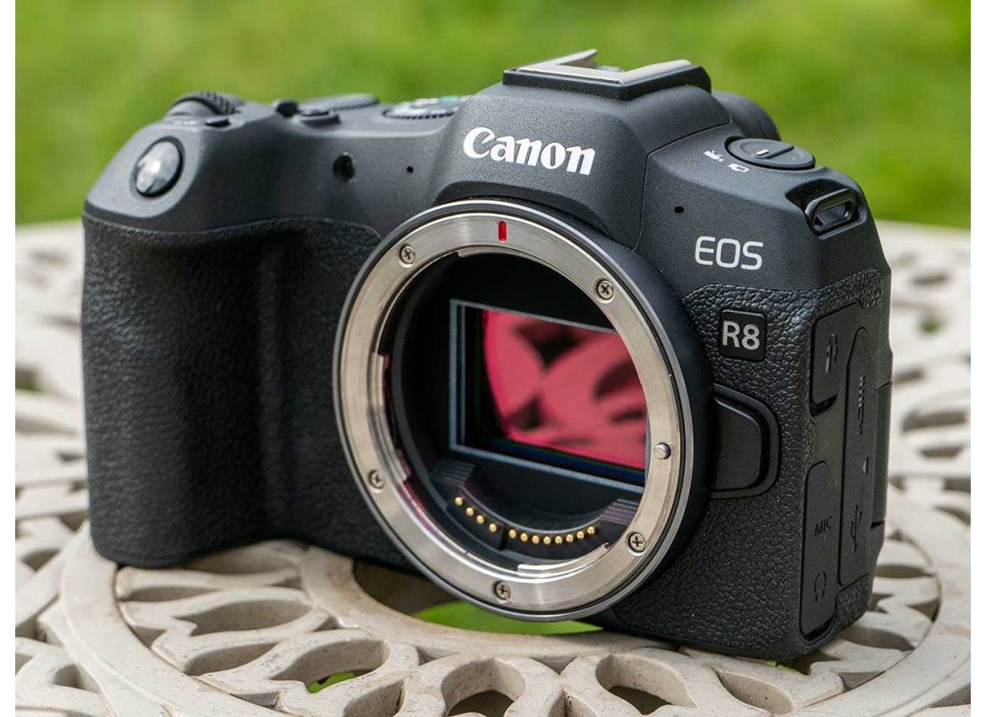 Canon EOS R8 Review | Photography Blog