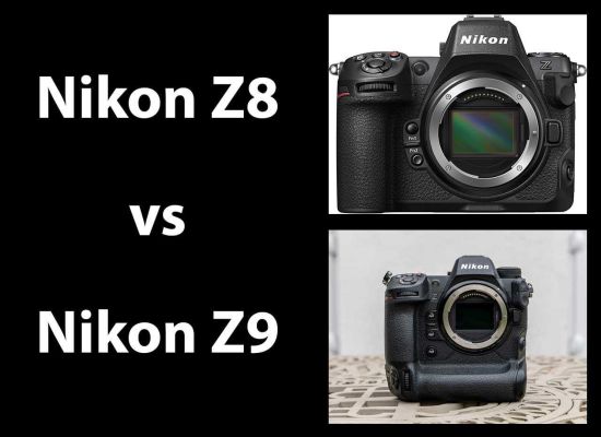 Nikon Z8 vs Nikon Z9 - Head-to-head Comparison | Photography Blog