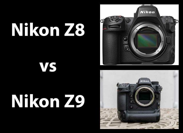 Nikon Z8 vs Nikon Z9 - Head-to-head Comparison | Photography Blog