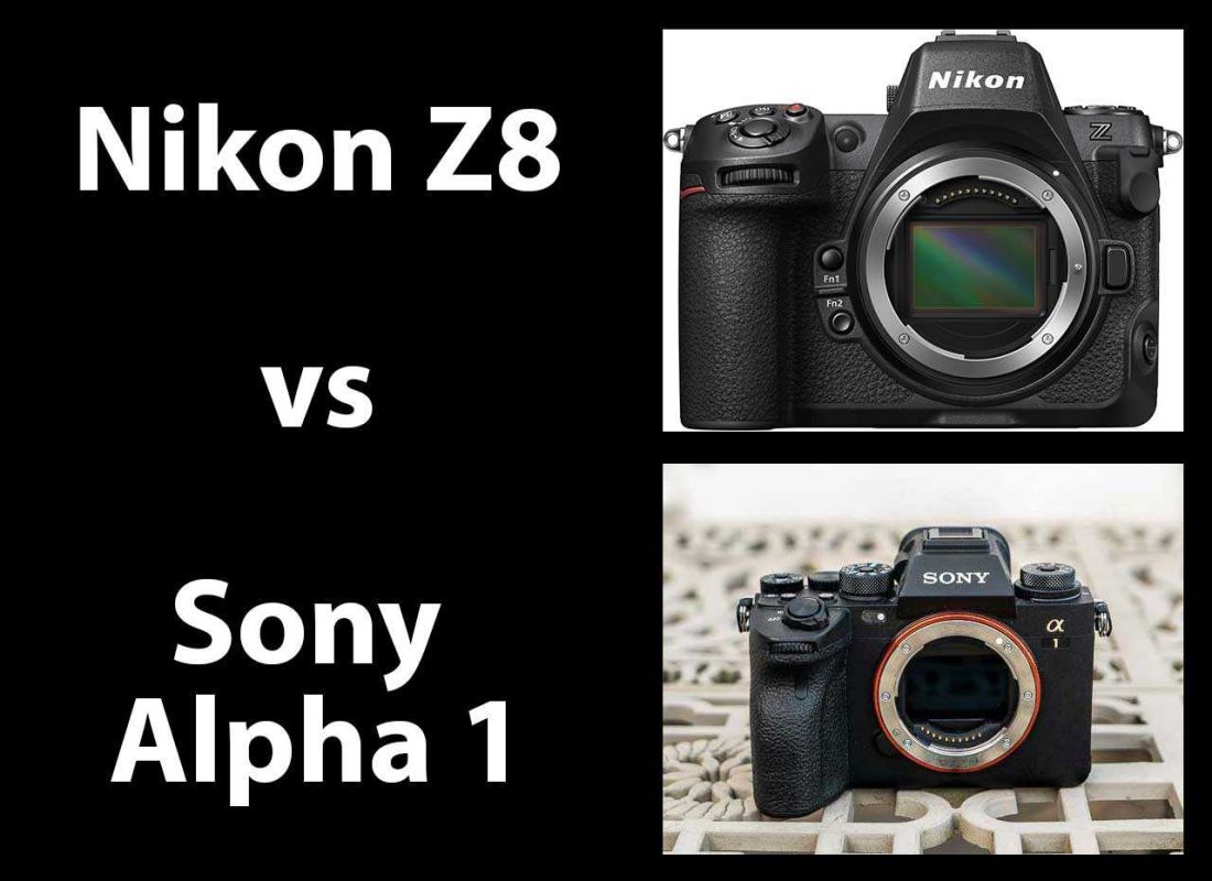 Nikon Z8 vs Sony Alpha 1 - Head-to-head Comparison | Photography Blog