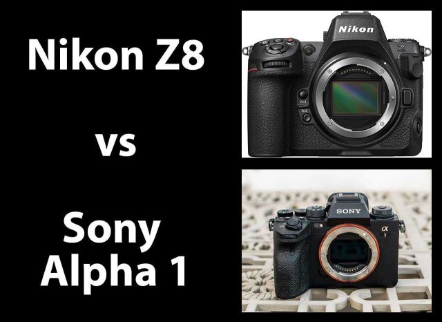 Nikon Z8 vs Sony Alpha 1 - Head-to-head Comparison | Photography Blog