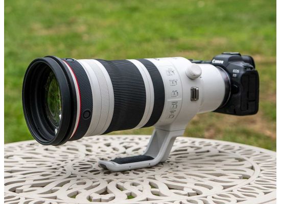Canon RF 100-300mm F2.8L IS USM Review - Sharpness 4 | Photography Blog