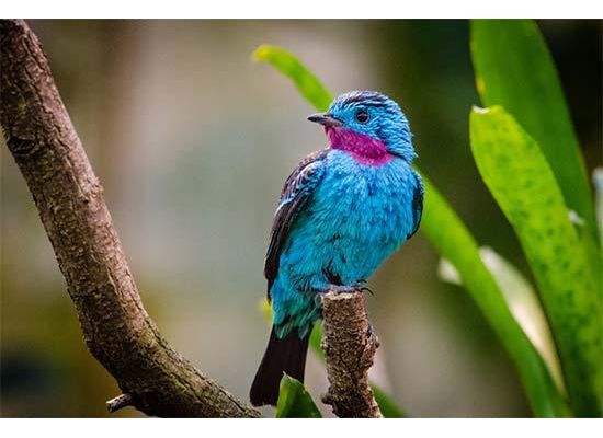 Flickr Announces New Photographer-Centric Improvements to Flickr Pro ...