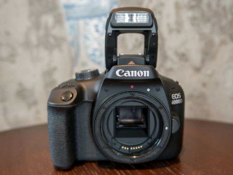 Canon EOS 4000D Review | Photography Blog