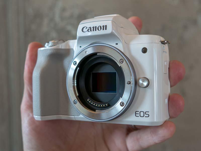 Canon EOS M50 Review | Photography Blog